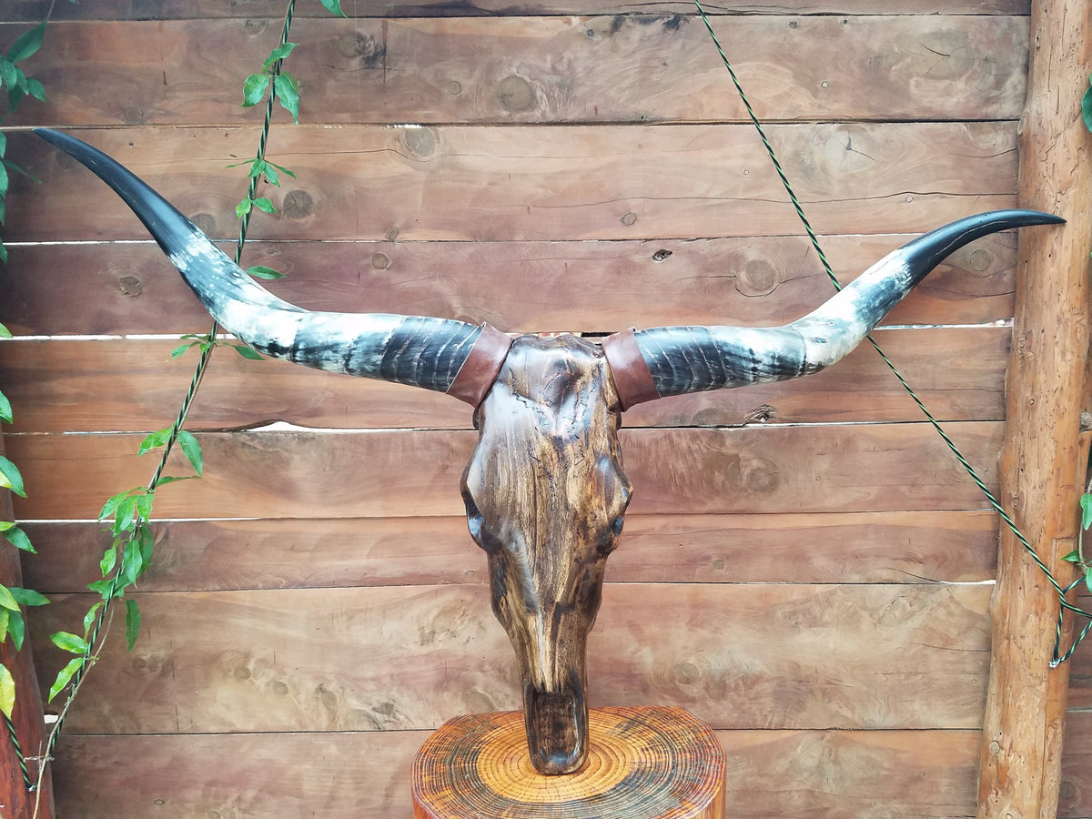 Longhorn Skull – Fine Wood Carvings