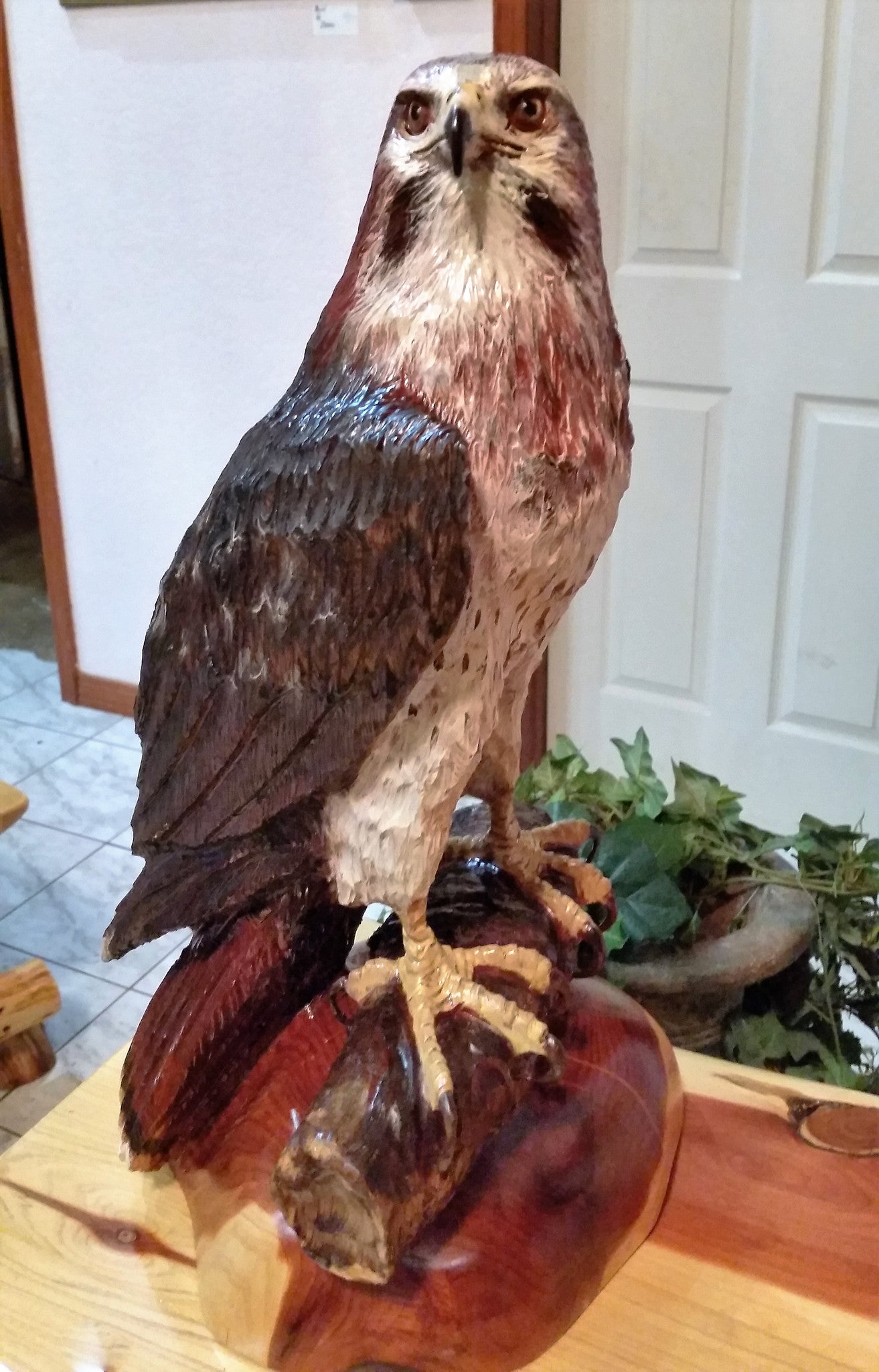 Hawk – Fine Wood Carvings